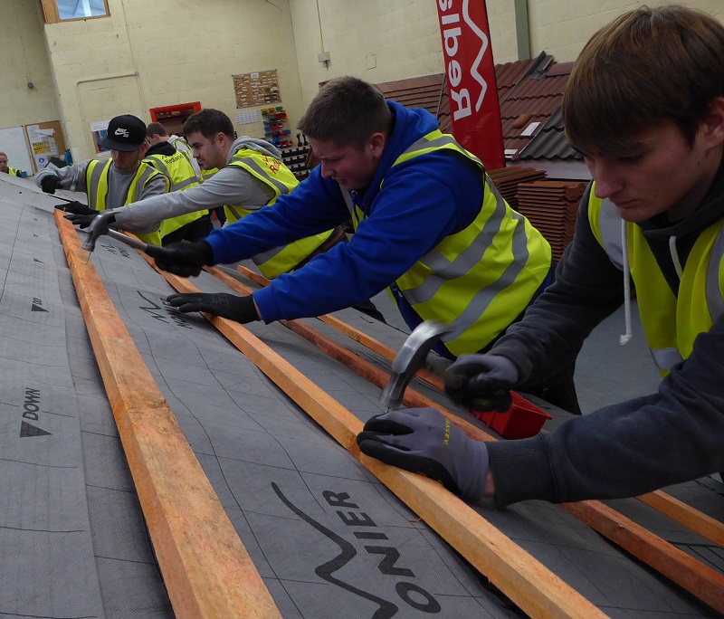 3 - Professional Builder