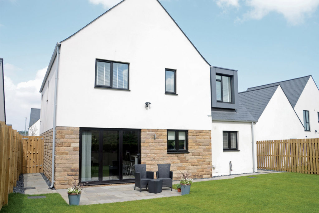 parex - Professional Builder